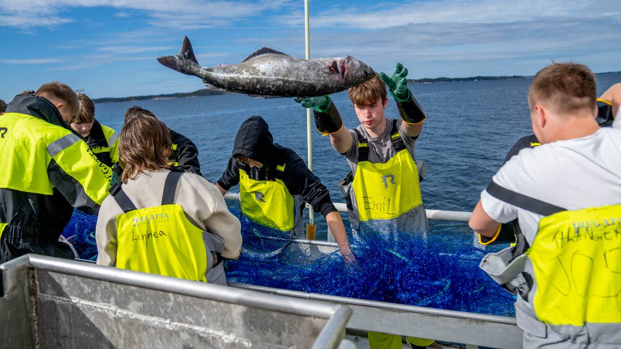 Rekordmange unge har søkt fiske og fangst på vidaregåande: Kort ...