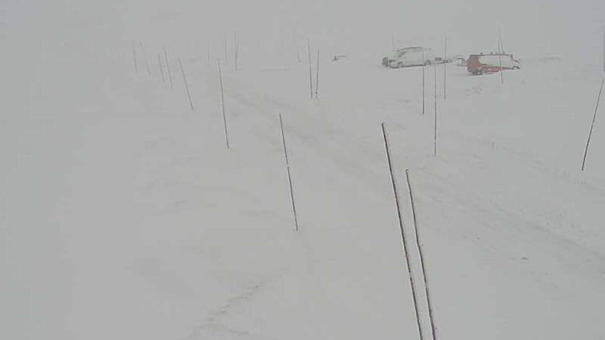 Fare for kolonne på Hardangervidda – NRK Vestland