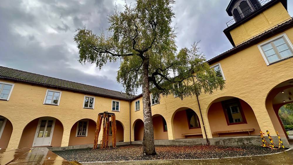 Bjørka på Falstad står på det som var en av Norges største fangeleirer ...