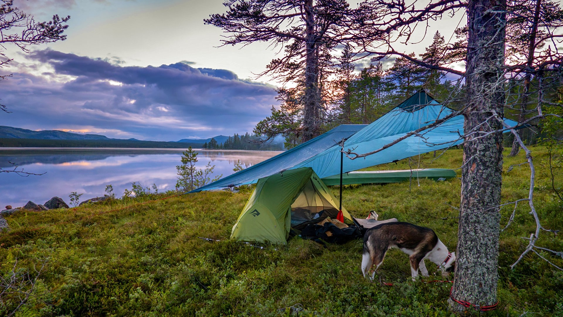 Monsen og nasjonalparkene - NRK TV