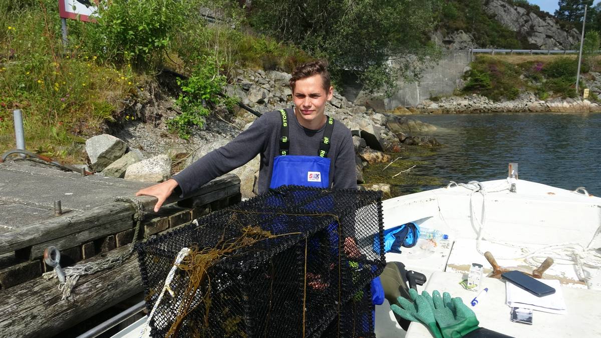 Ole Marcus (20) tjener 34 kroner på én fisk – NRK Vestland