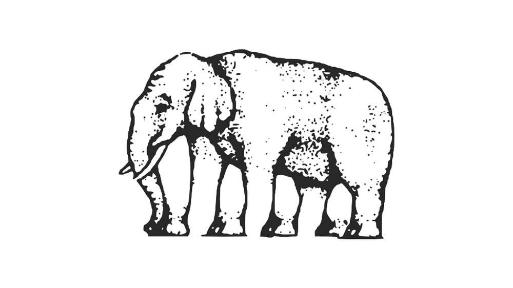 Derfor blir hjernen vår lurt av optiske illusjoner – NRK Trøndelag ...