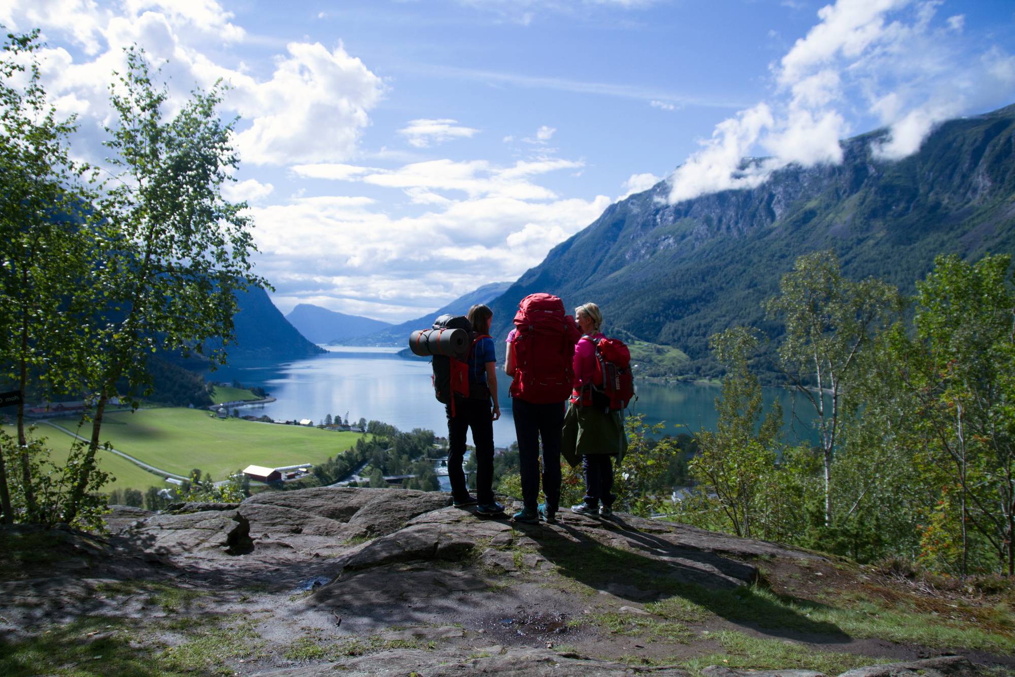 Smarte turtips fra Familieekspedisjonen – Natur – NRK