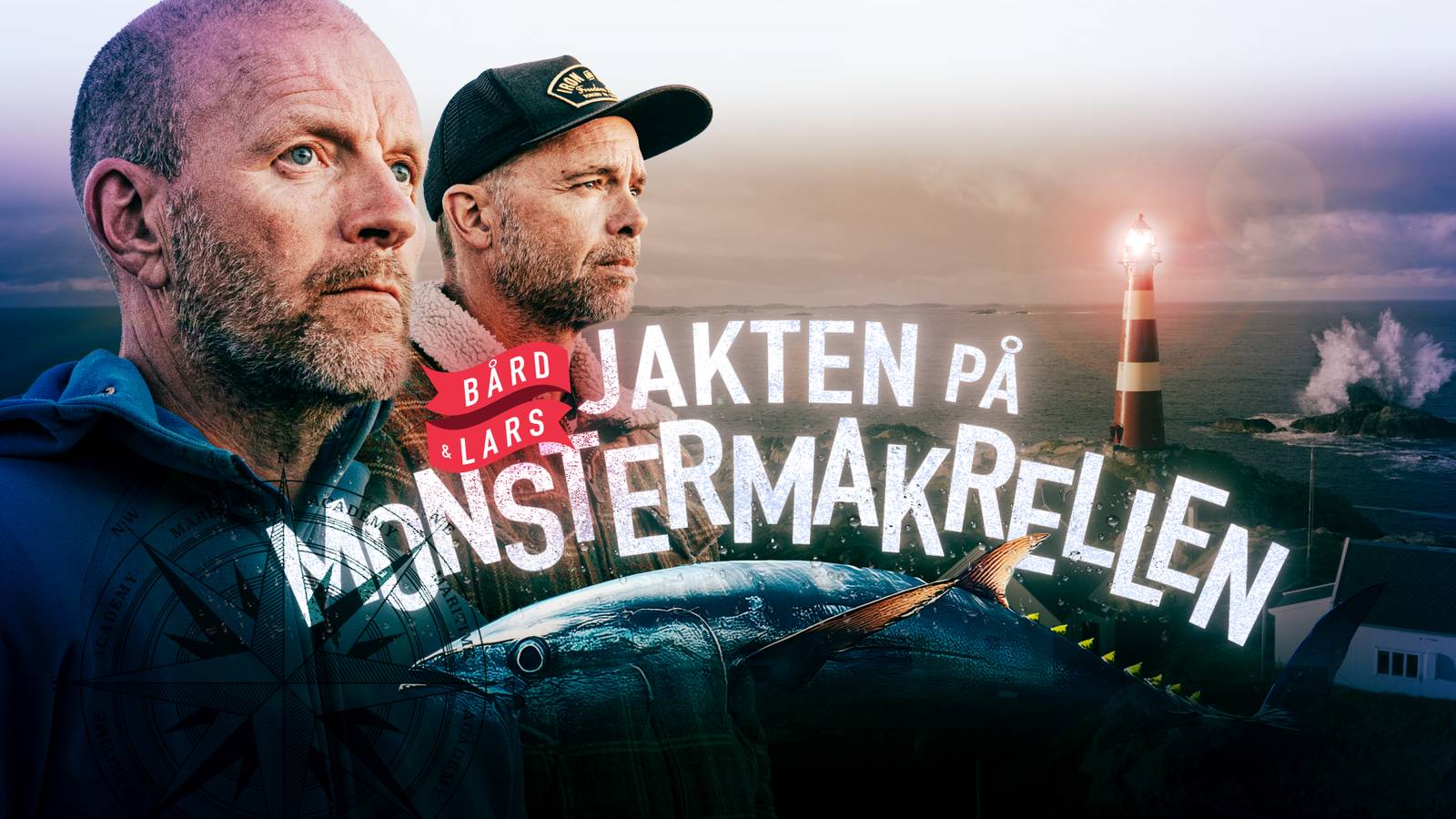 Makrell­størja får forskarar til å klø seg i hovudet: – Aldri sett ...