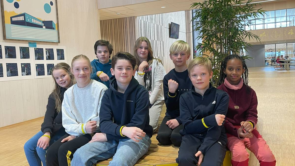 Steinkjer skole får utmerkelse for god dialog – NRK Trøndelag – Lokale ...
