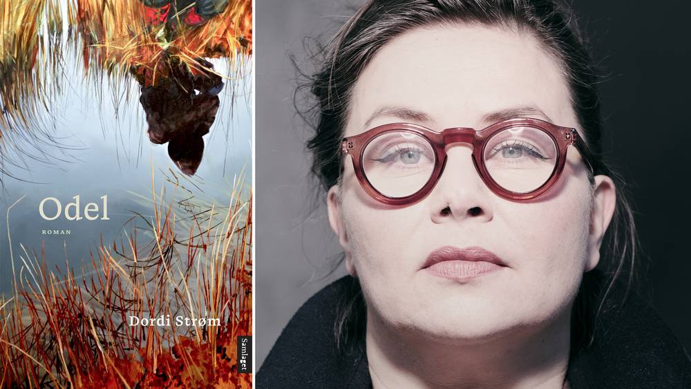 Anmeldelse: «Odel» av Dordi Strøm – Anmeldelser og anbefalinger