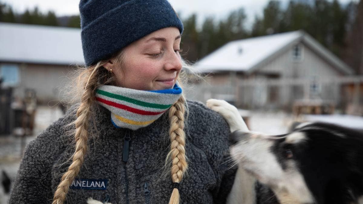 Klar for den 54. utgaven av Iditarod – NRK Troms og Finnmark