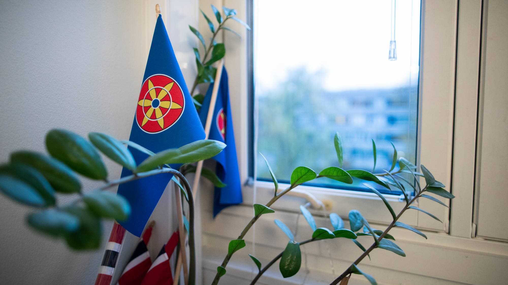 Slik feirer NRK årets kvenfolkets dag 2025 – NRK Kveeni