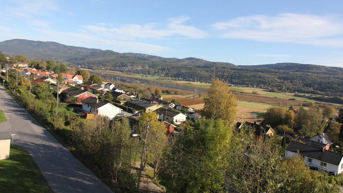 Stor leteaksjon etter savnet kvinne – NRK Vestfold og Telemark – Lokale nyheter, TV og radio