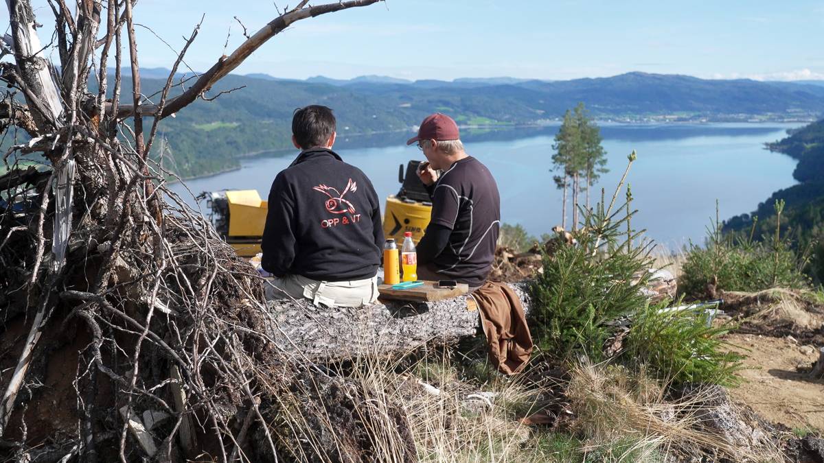 Lars Inge Harang og Nina Torvik er i gang med prosjektet Ugla ...