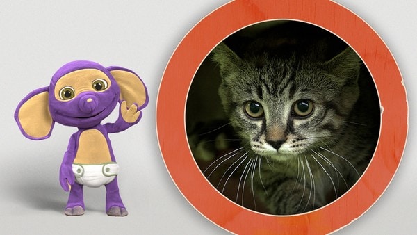 NRK Super - Fantus og dyra