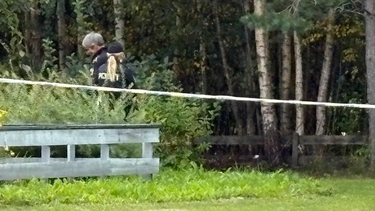 Død mann kan være savnet polakk – NRK Innlandet – Lokale nyheter, TV og ...
