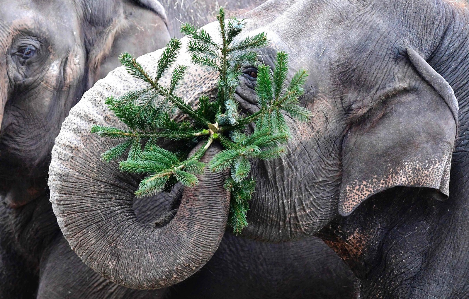 Verden i bilder – 2017 - NRK Urix - Utenriksnyheter og -dokumentarer