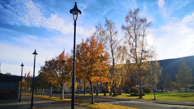 Hattifnatter samlet på høstfjellet – Yr