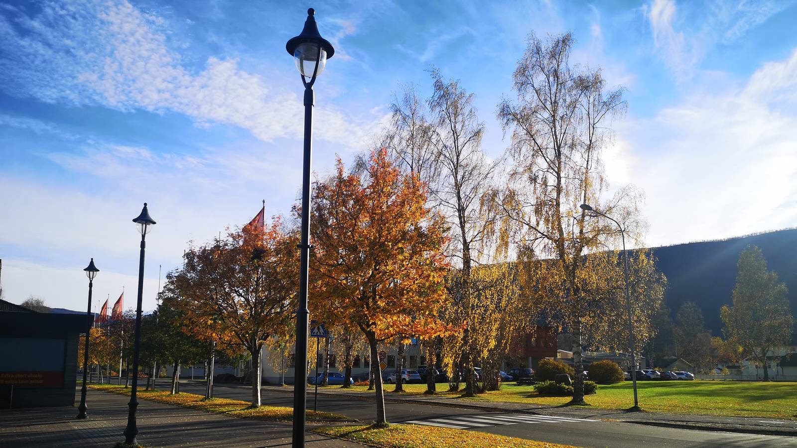 Hattifnatter samlet på høstfjellet – Yr