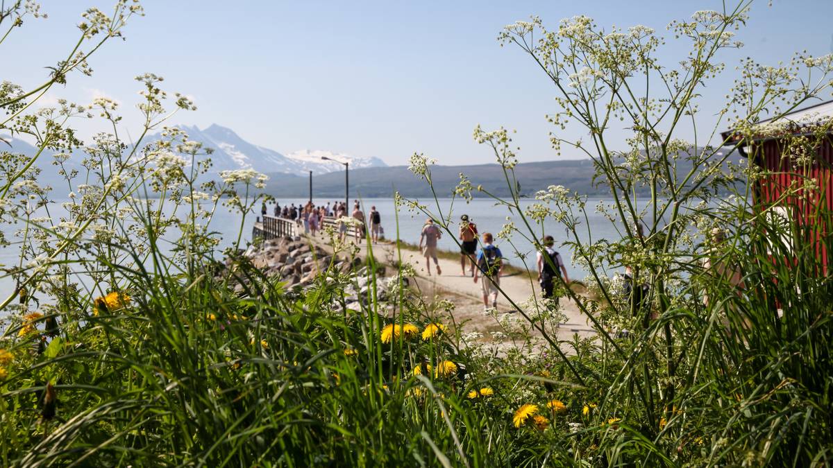 Nå er varmerekorden tangert – NRK Troms og Finnmark