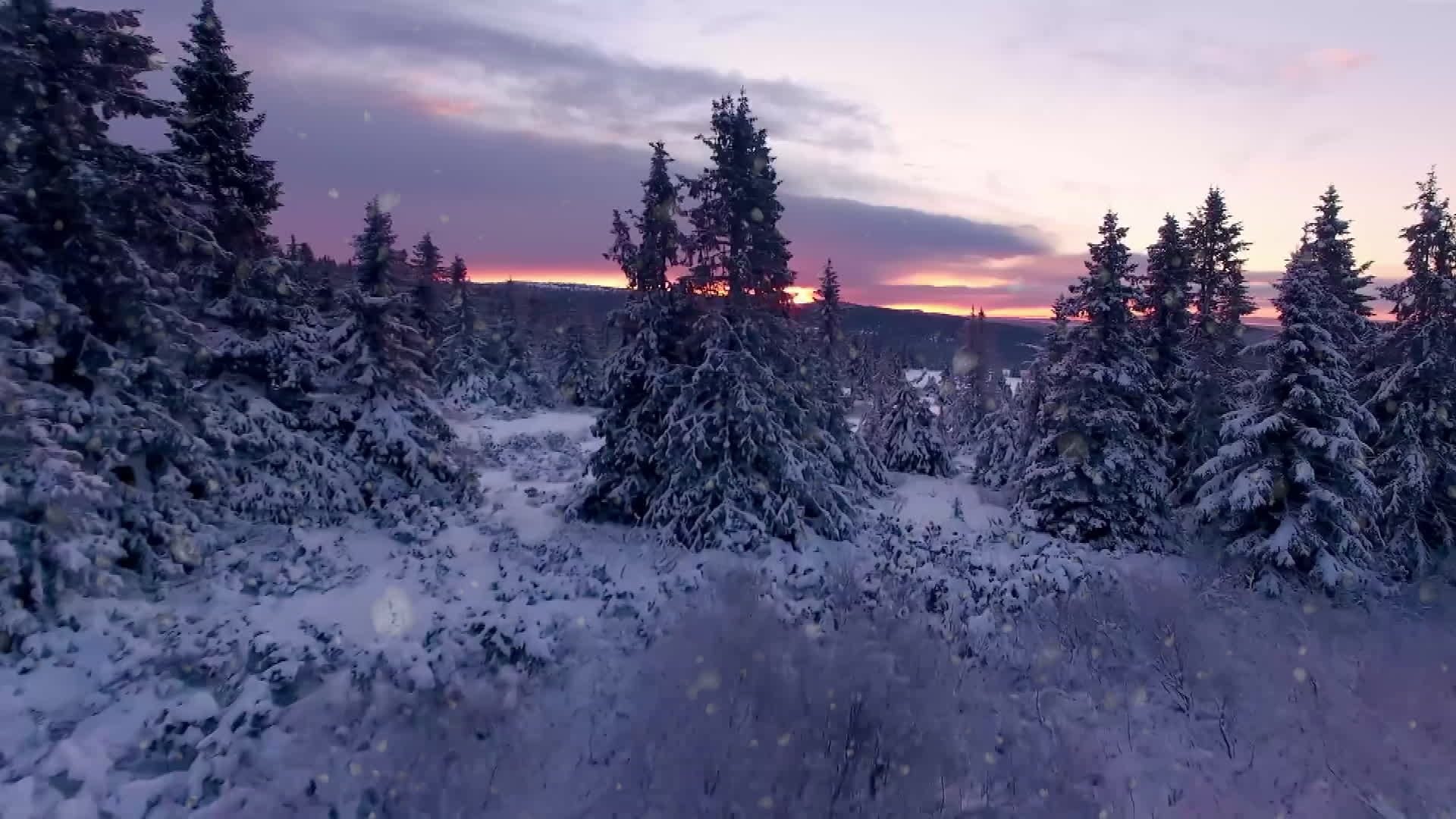 Desember-bilder fra seerne – NRK Sørlandet – Lokale nyheter, TV og radio