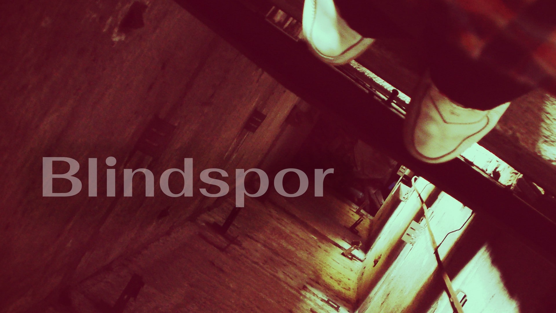 1. Skriket - Blindspor - NRK Radio