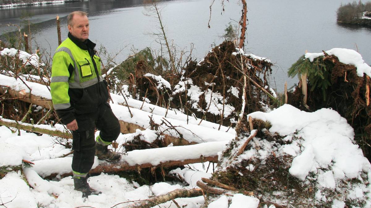 Lars Velken (64) døydde i trefellingsulukka – NRK Vestland