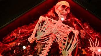 QUIZ: Kva kan du om halloween? Ta quizen her! – NRK Møre og Romsdal – Lokale nyheter, TV og radio