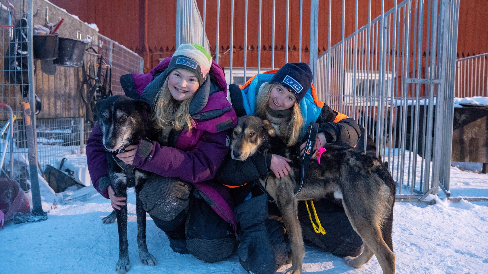 Ylva-Li og Ronja Næss fra Meråker reiser til Alaska for hundekjøring ...