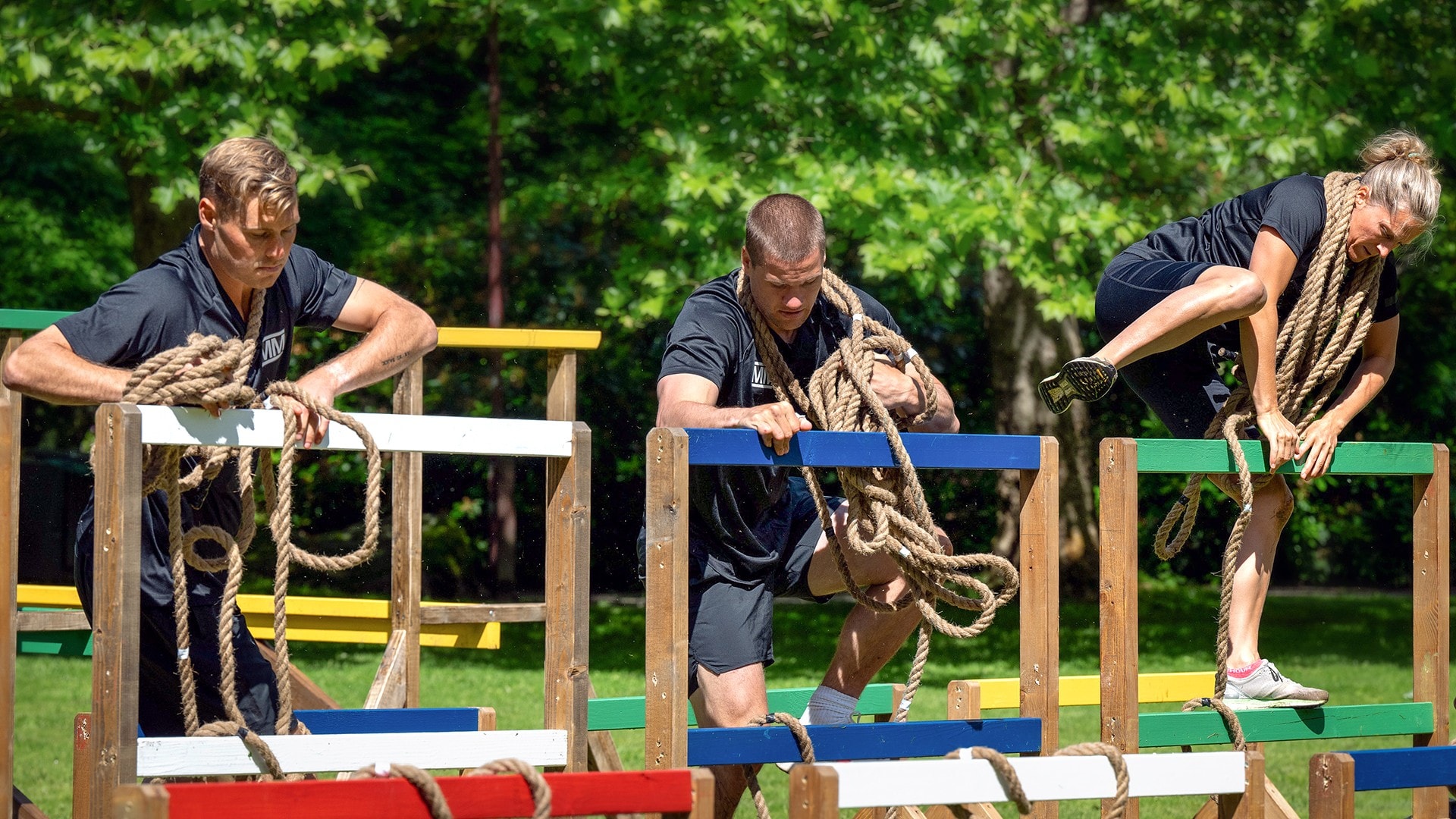 Mesternes mester - NRK TV
