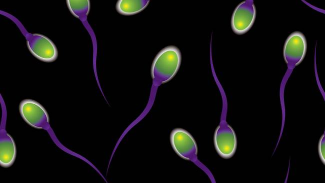 Sæd avslører testikkelkreft – NRK Nyttig – Tips, råd og innsikt