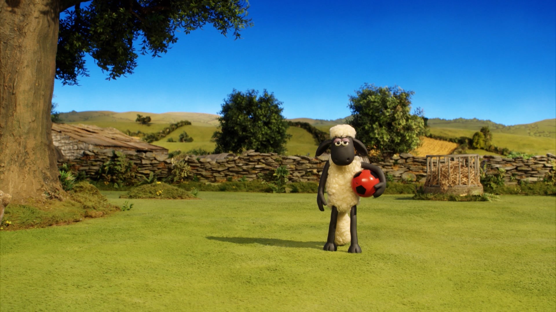 Sauen Shaun - NRK TV