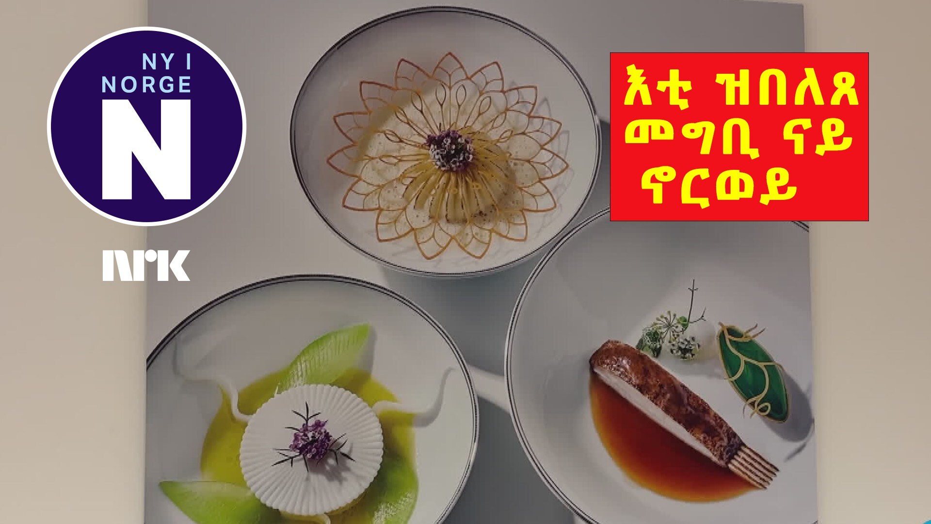 Kokke-EM i Norge 01.04.2024 – Norwegian news in Tigrinja