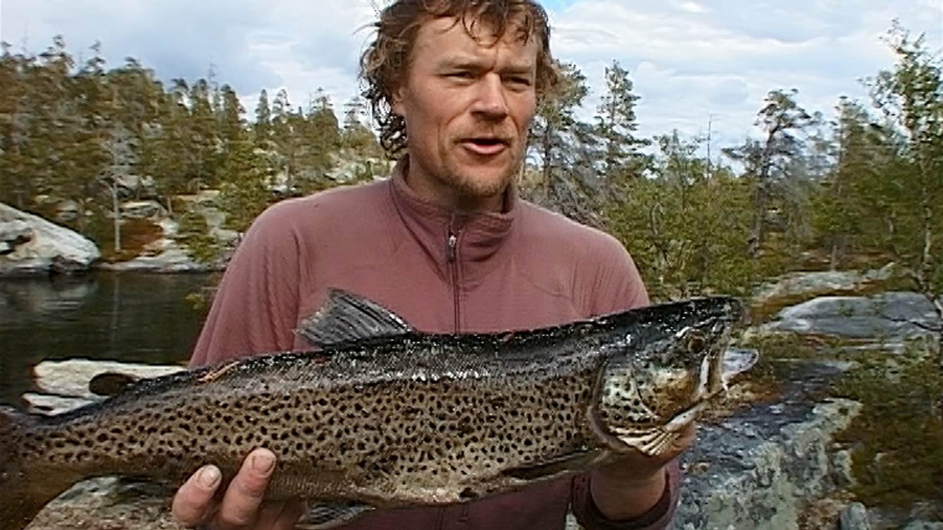 På tur med Lars Monsen - NRK TV