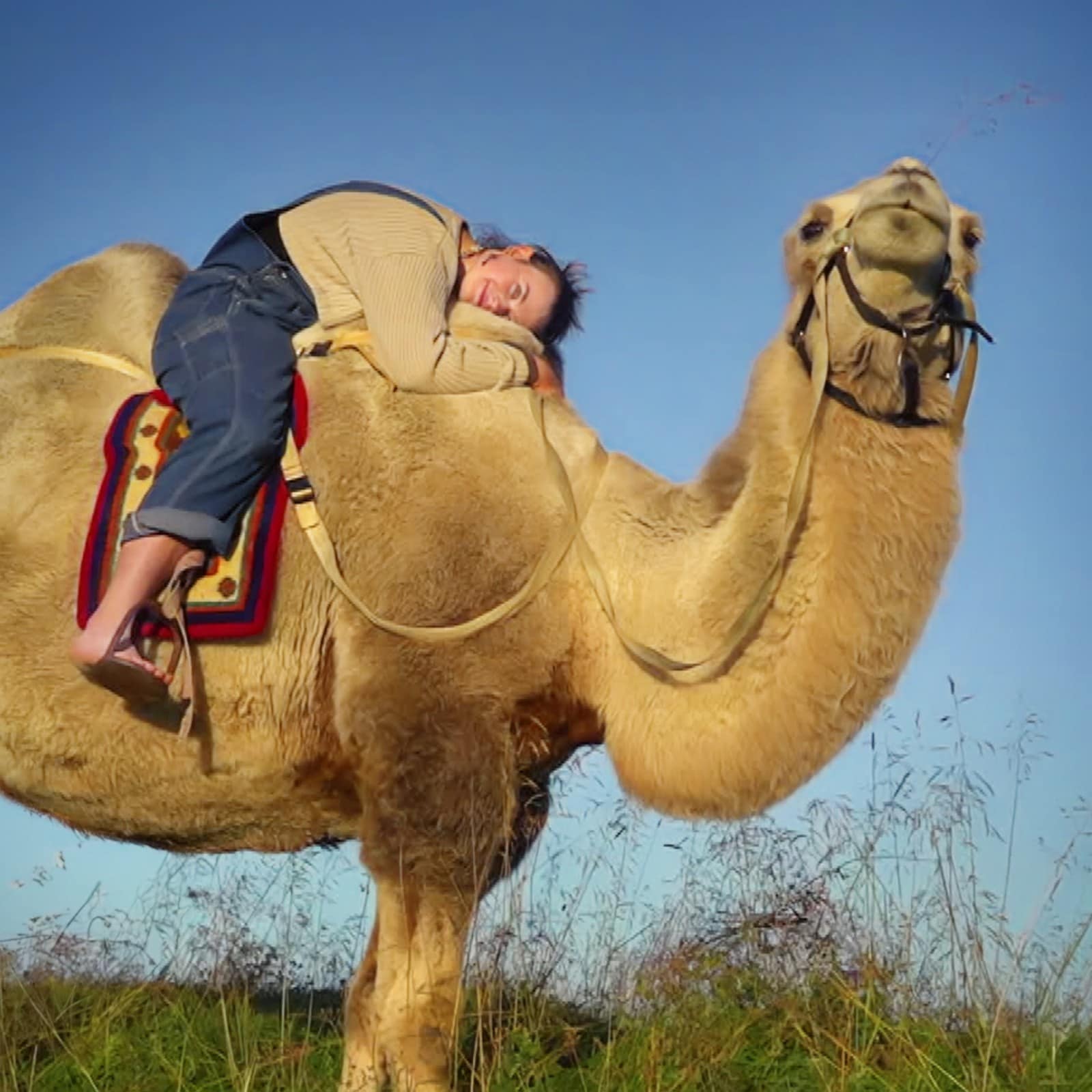 Norge Rundt - NRK TV