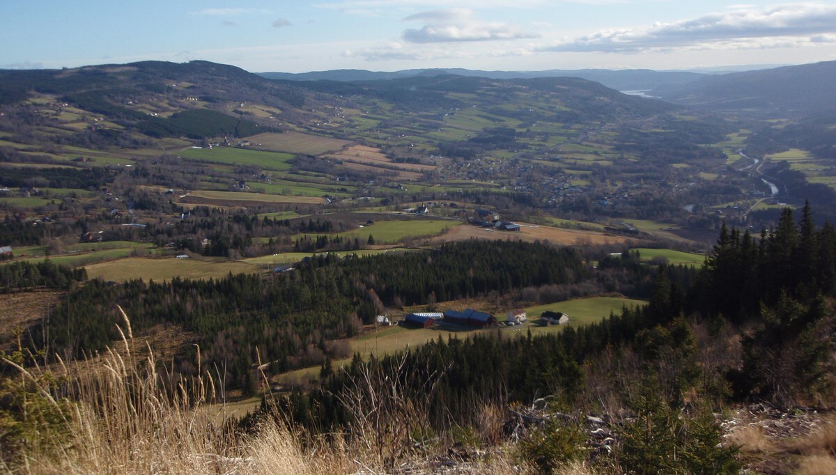 Gausdal – NRK Innlandet – Lokale nyheter, TV og radio