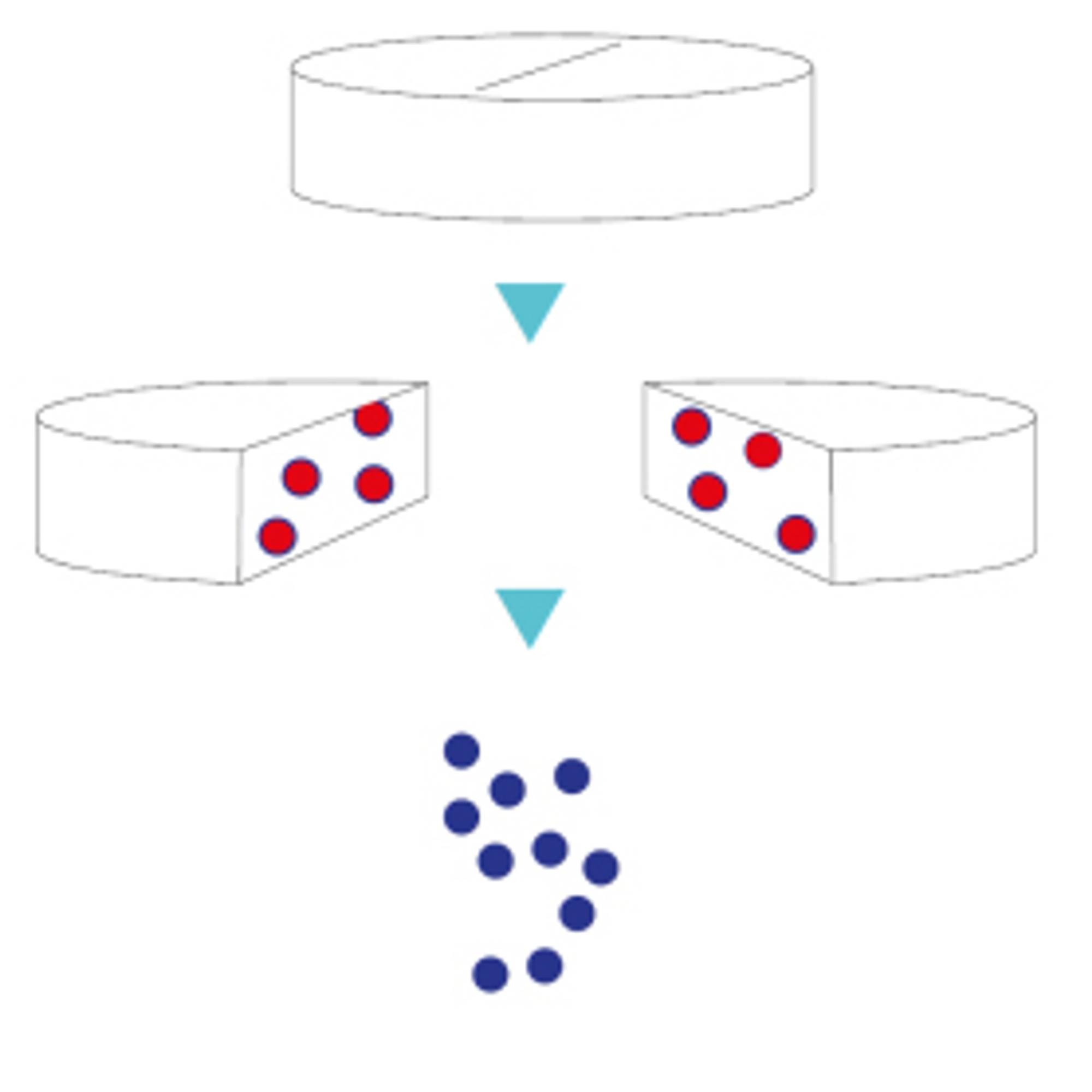 Slik tar du pillene dine riktig – NRK Nyttig – Tips, råd og innsikt