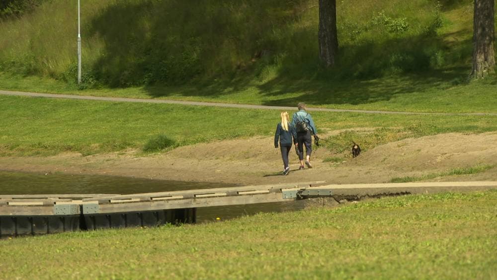 Nå biter tuneflua igjen – NRK Østfold – Lokale nyheter, TV og radio