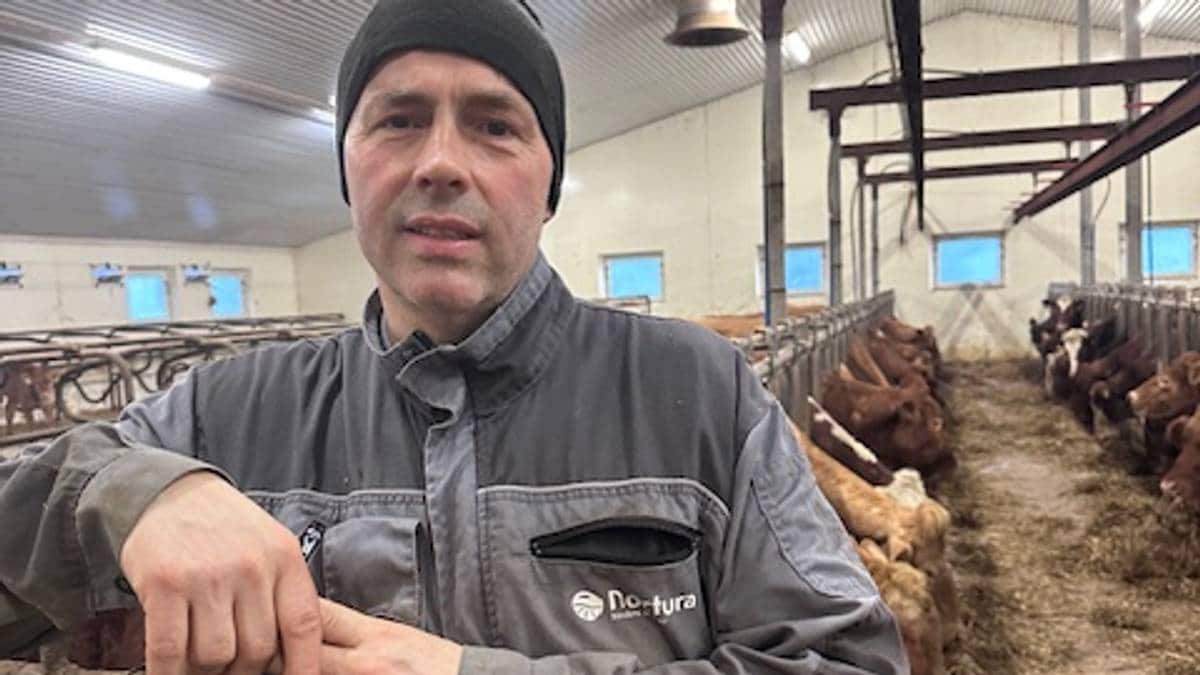 Ny leiar i Vestland Bondelag – NRK Vestland