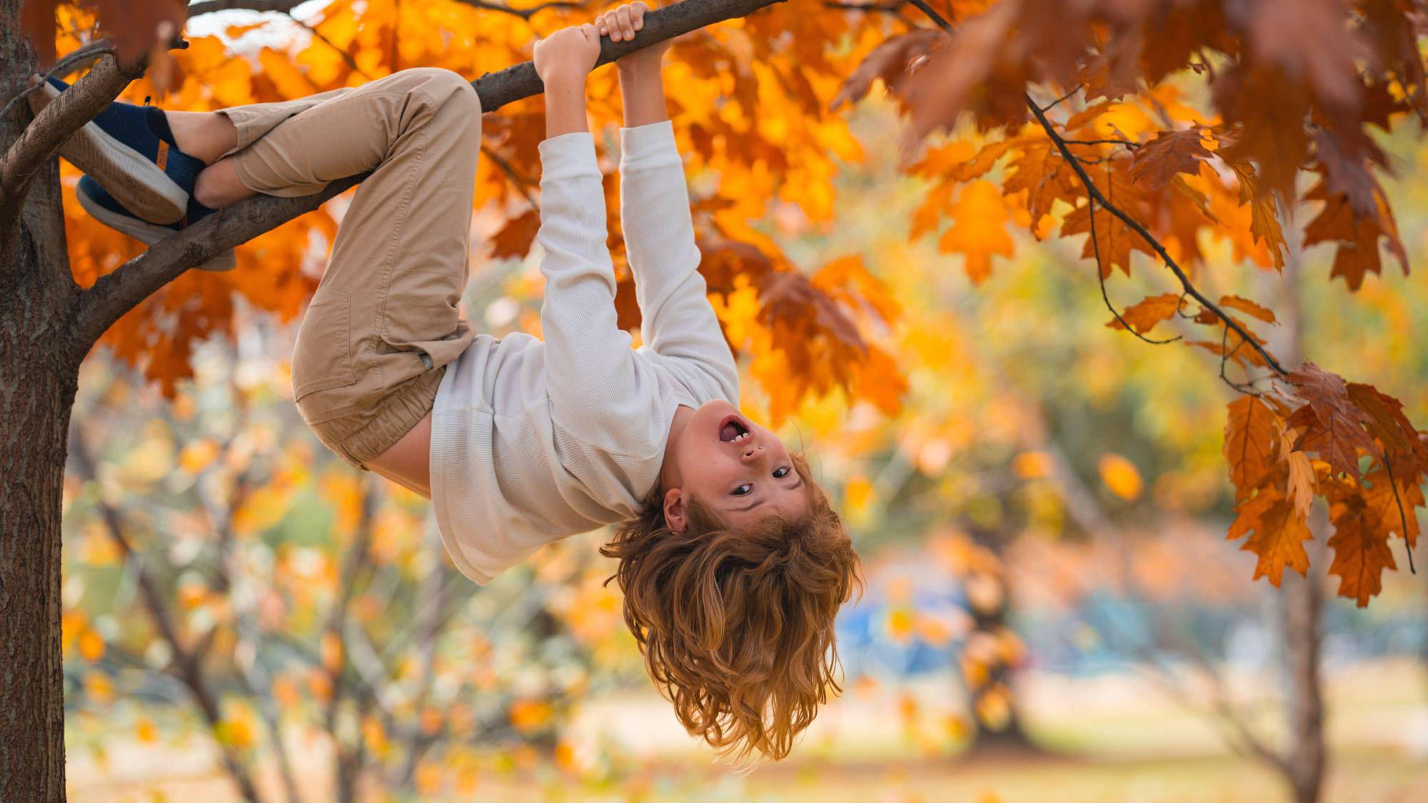 Si hei til generasjon stuegris – Ytring