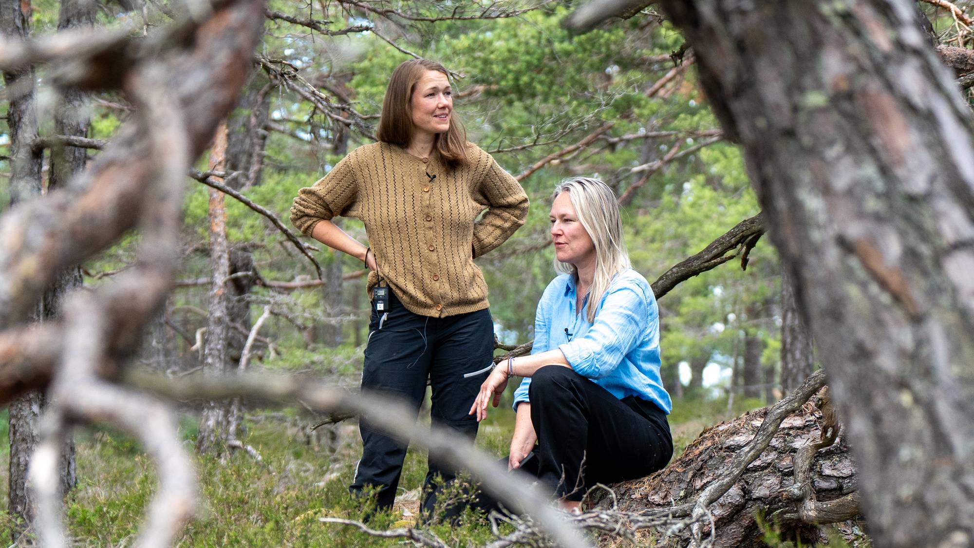 Regjeringen gir 50 millioner til naturkart etter NRKs avsløringer – NRK ...