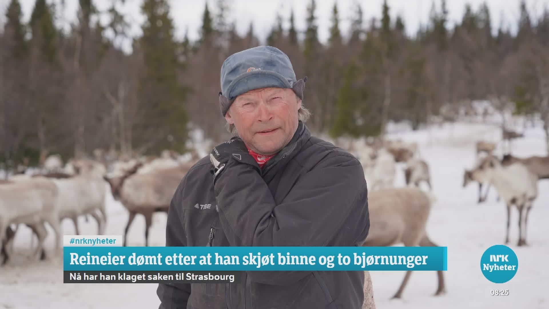 Odd Bjørnar Bjørkås ble dømt etter å ha skutt binne og to bjørnunger ...