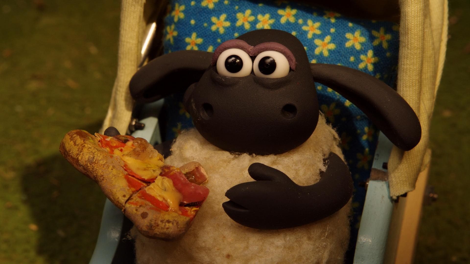 Sauen Shaun - NRK TV