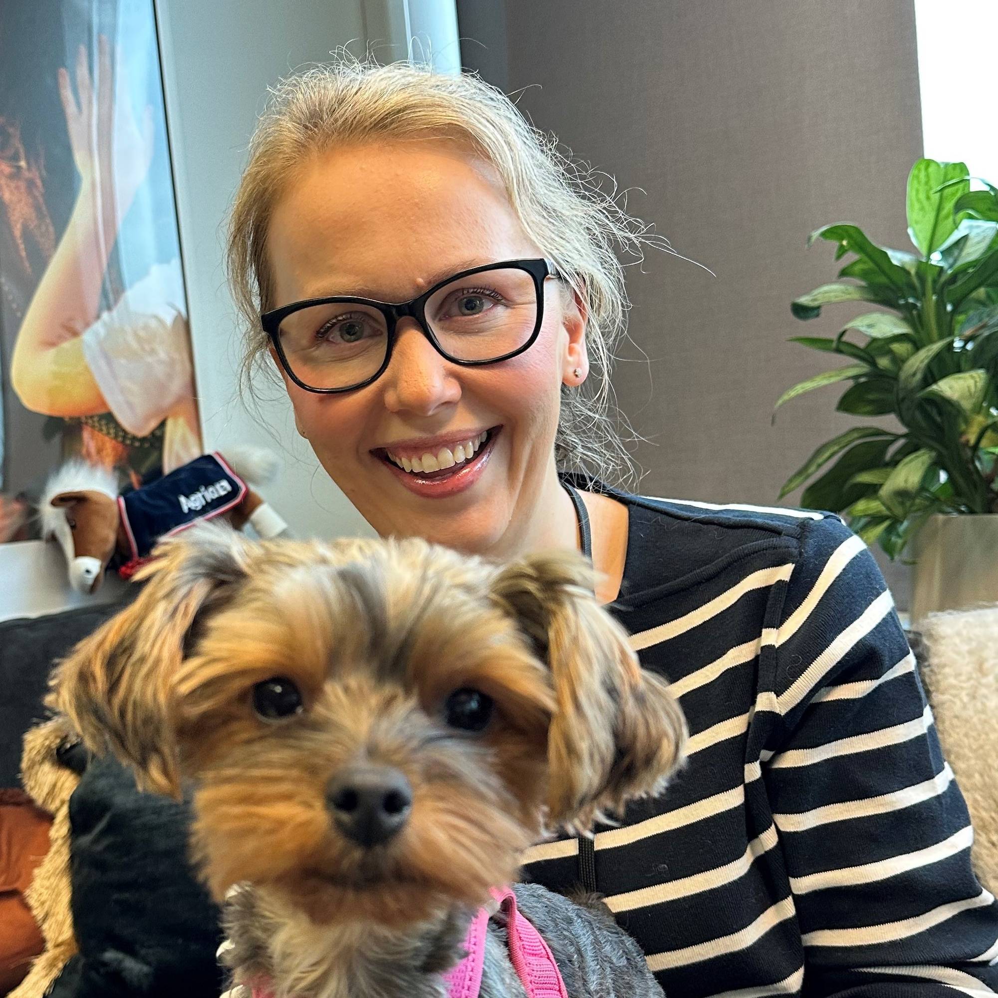 Hunden Aira ble bitt av hoggorm – NRK Vestfold og Telemark – Lokale ...