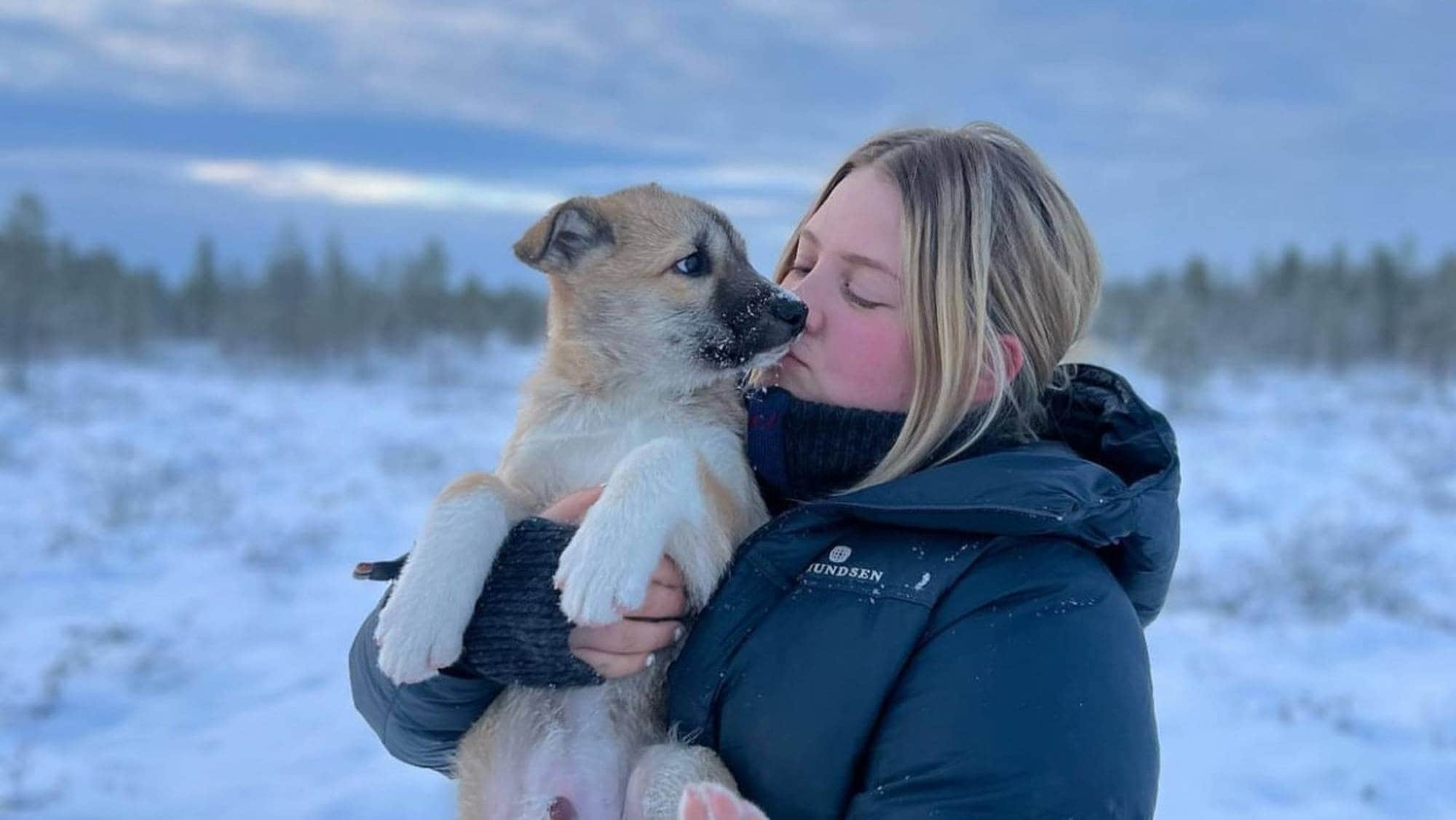 Langnes skole i Troms fikk 9 poeng – NRK Troms og Finnmark