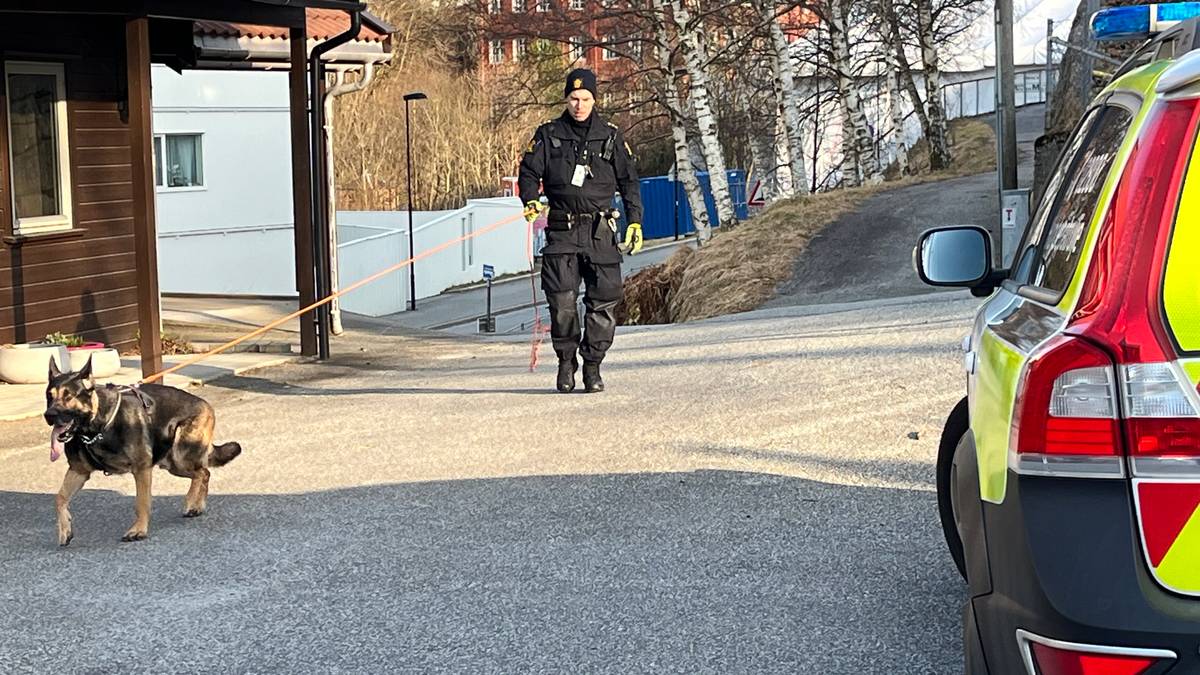 Politiet fant innbruddstyver på Ålgård – NRK Rogaland – Lokale nyheter, TV og radio