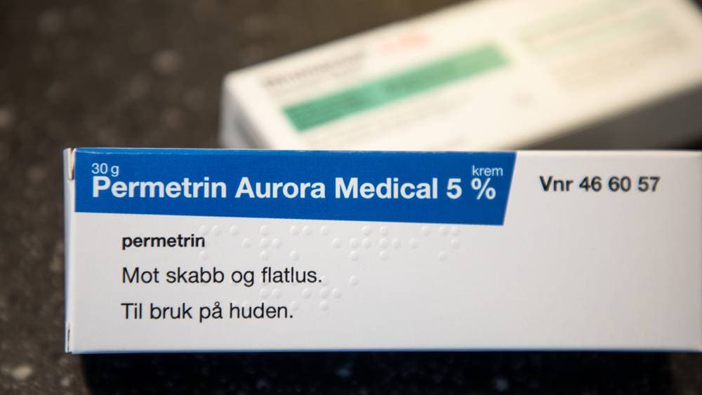 Økning i skabbtilfeller i Norge, FHI vil ha behandling på blåresept ...