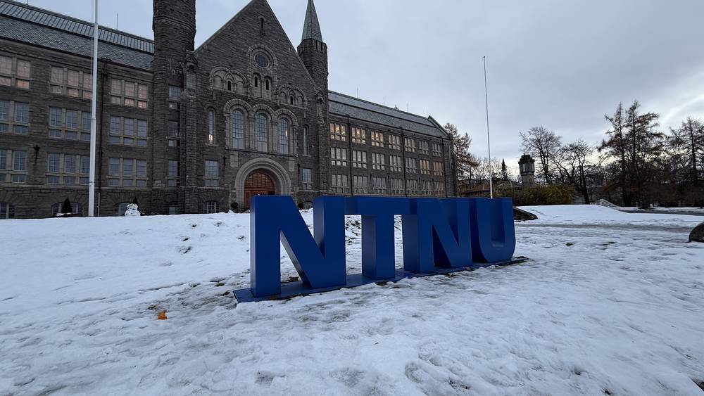 NTNU-studenter rystet etter bussvelt i Sverige – NRK Trøndelag – Lokale nyheter, TV og radio