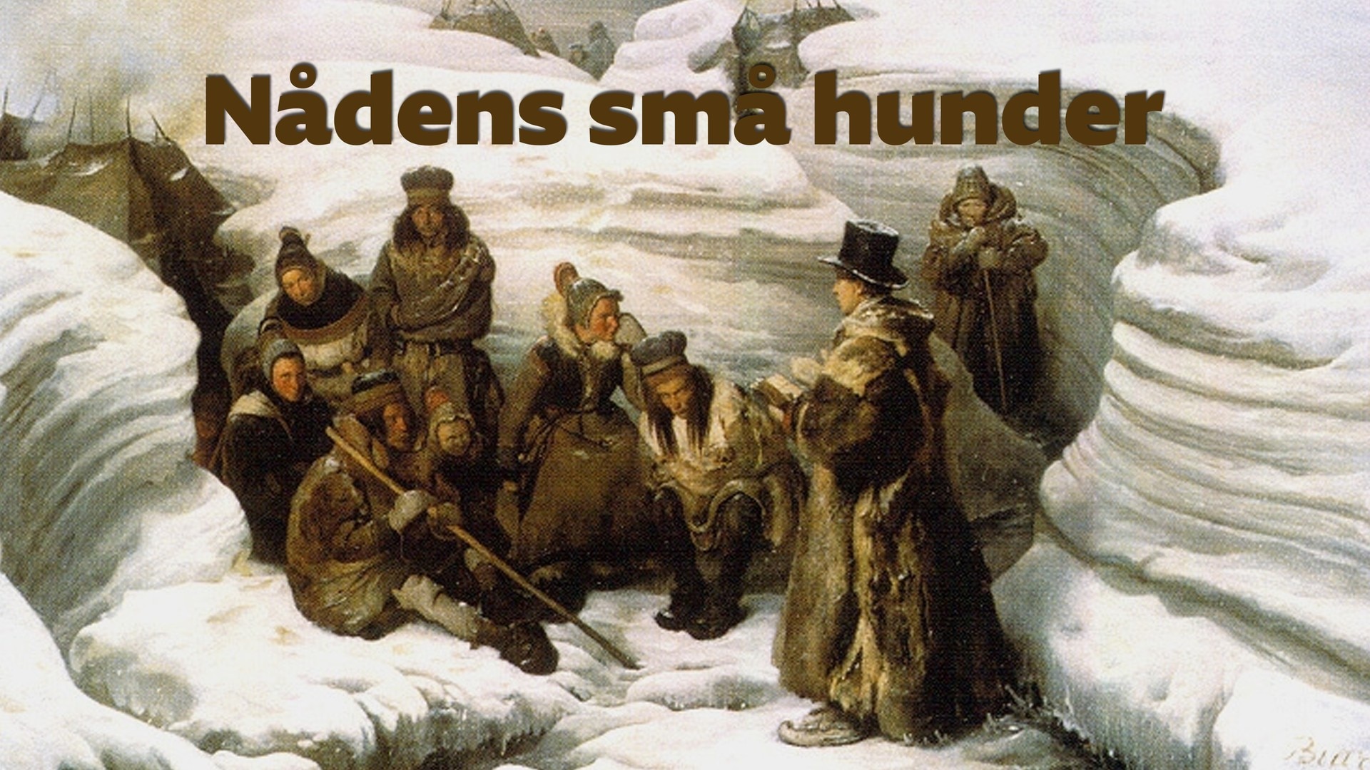 Nådens små hunder - NRK Radio