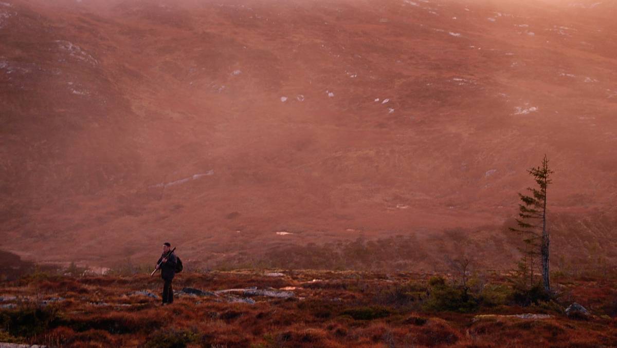 Deler av Verran blir vernet – NRK Trøndelag – Lokale nyheter, TV og radio