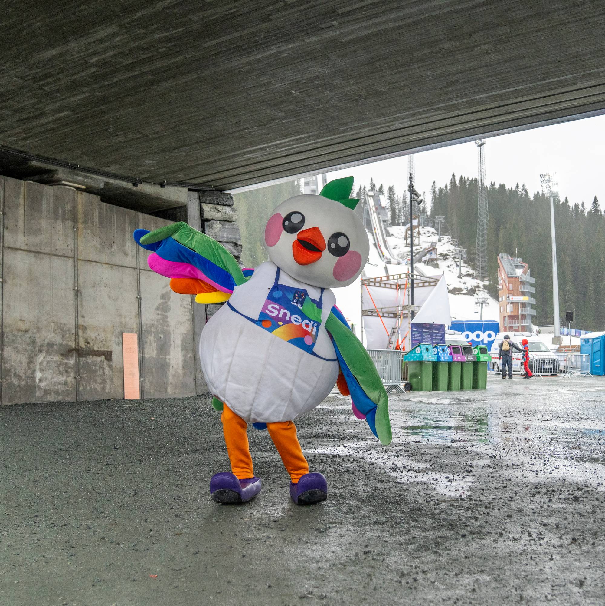 Ski-VM 2025: Derfor slår VM-maskoten «Snedi» så godt an – NRK Trøndelag ...