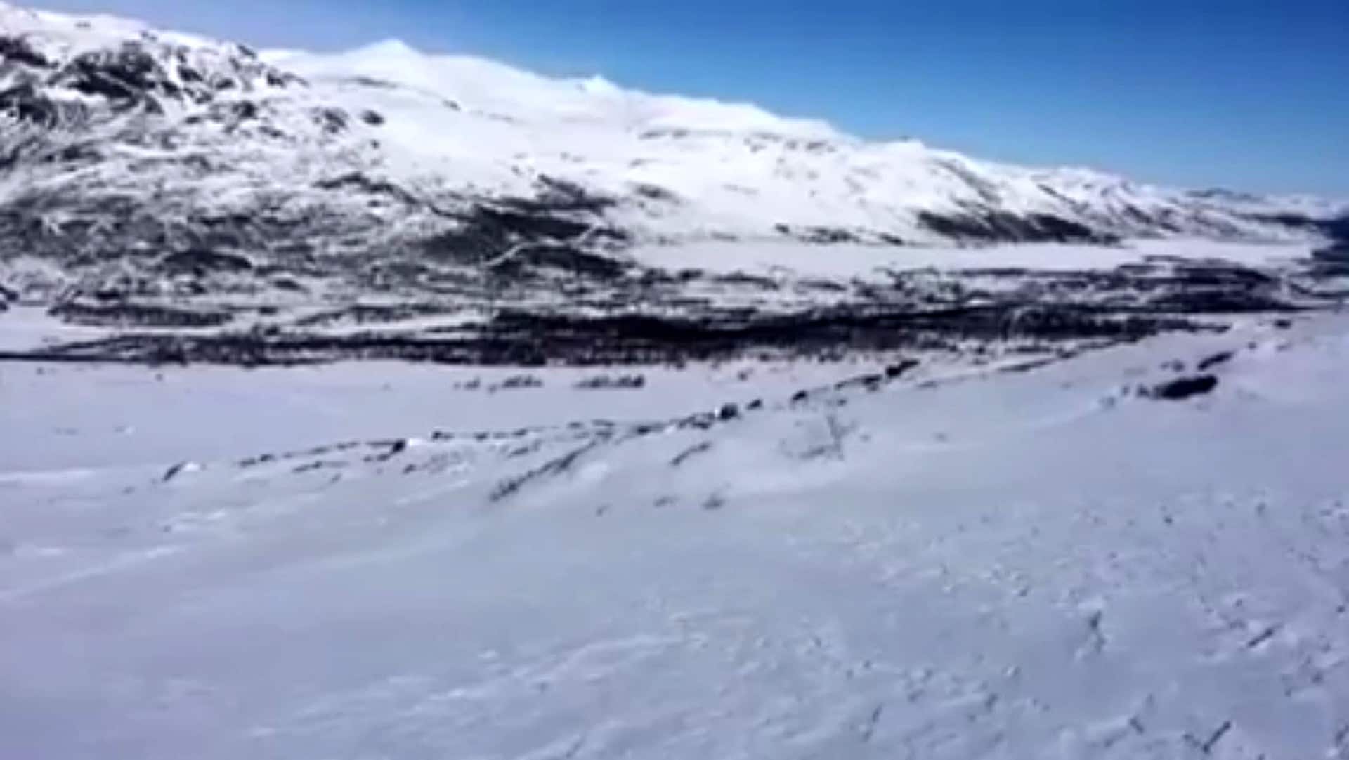 Rype på flukt – NRK