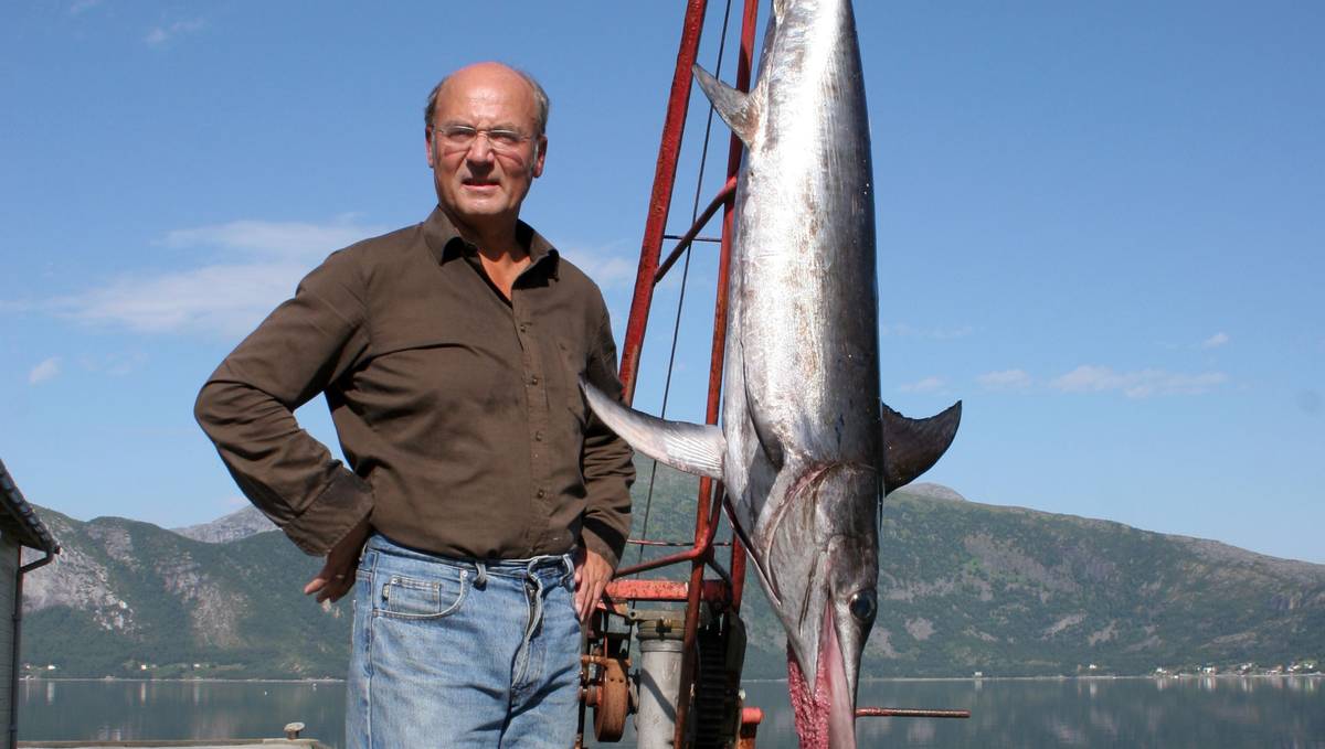 Mer sverdfisk på Norskekysten – Natur – NRK