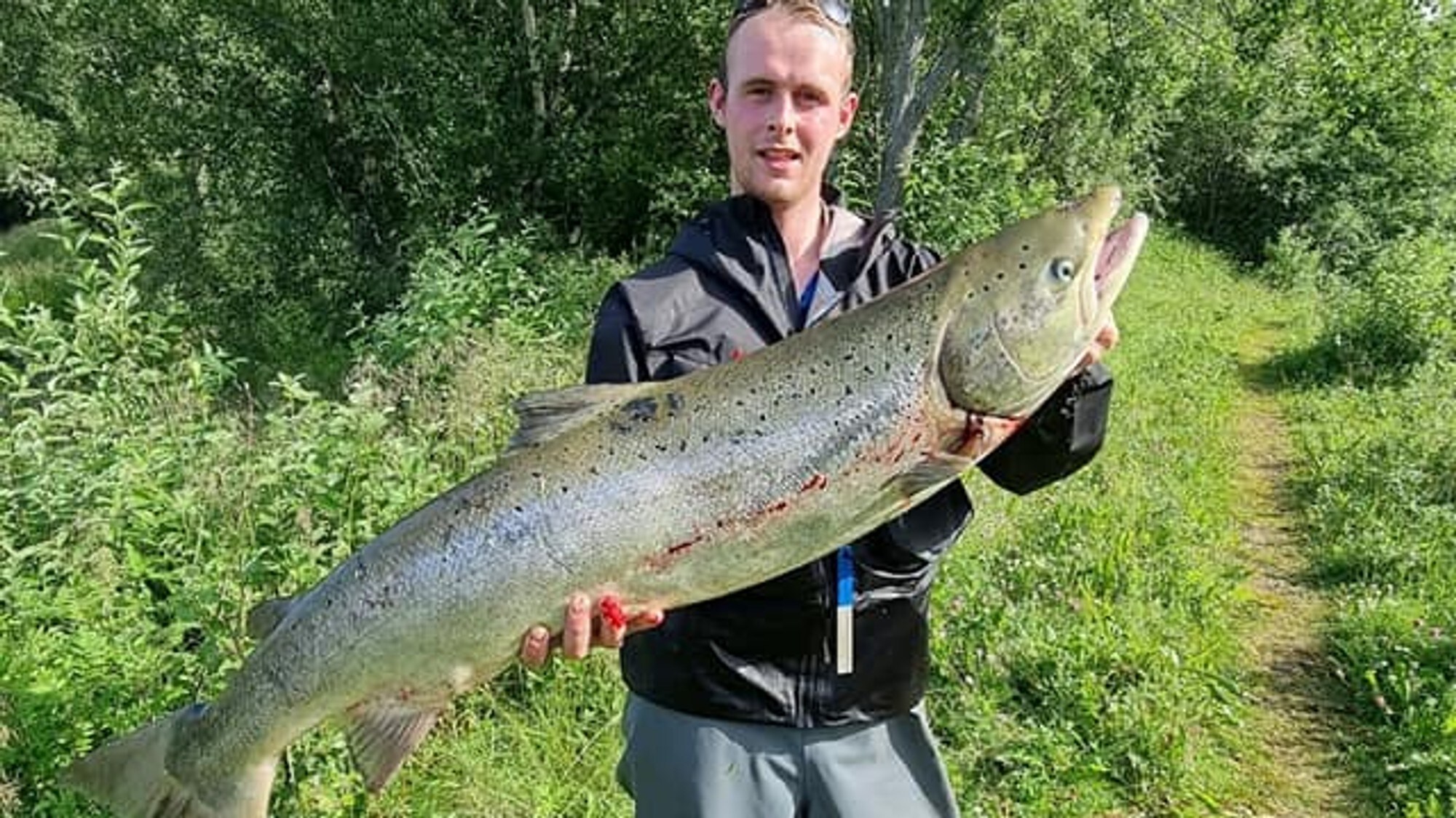 Laksefisker løp en halv kilometer for å få denne laksen på land – NRK ...